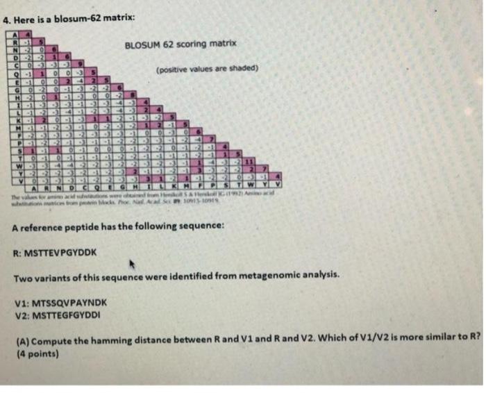 Solved 4. Here is a blosum-62 matrix: BLOSUM 62 scoring | Chegg.com
