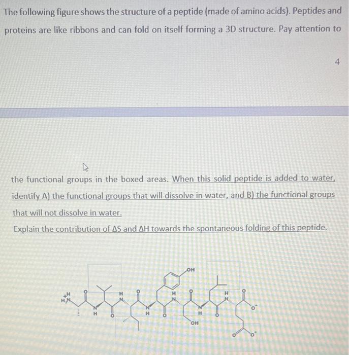 1. A) Define amphipathic molecules using drawings and | Chegg.com