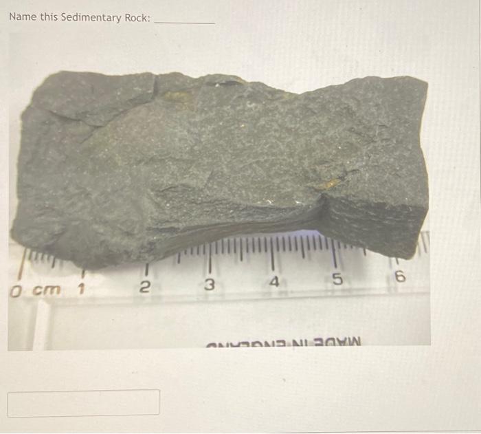 Solved Name this Sedimentary Rock: This sample has a | Chegg.com