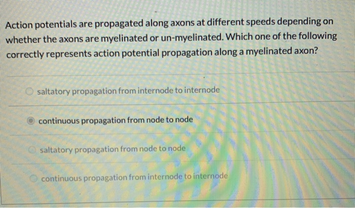 Solved Action potentials are propagated along axons at | Chegg.com