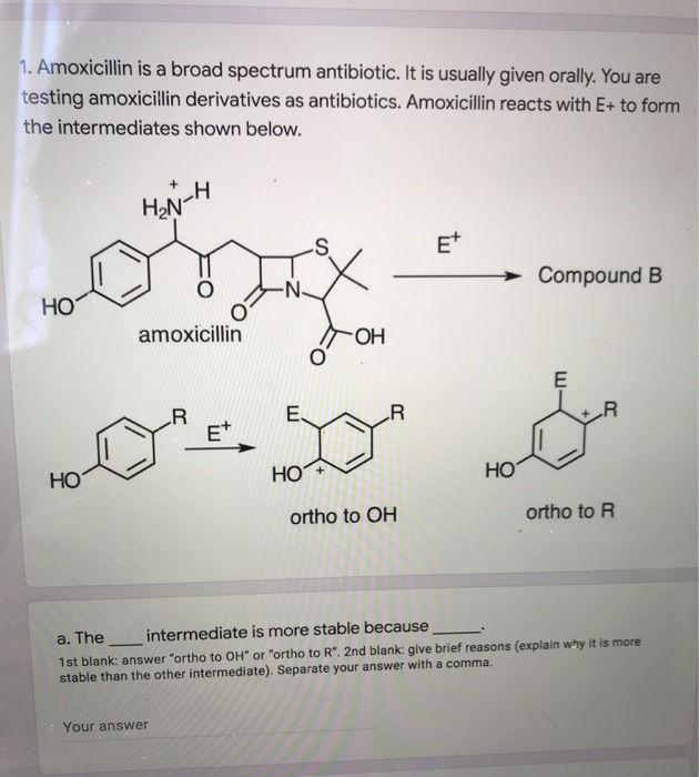 Solved 1. Amoxicillin is a broad spectrum antibiotic. It is | Chegg.com