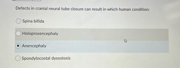 Solved Defects in cranial neural tube closure can result in | Chegg.com