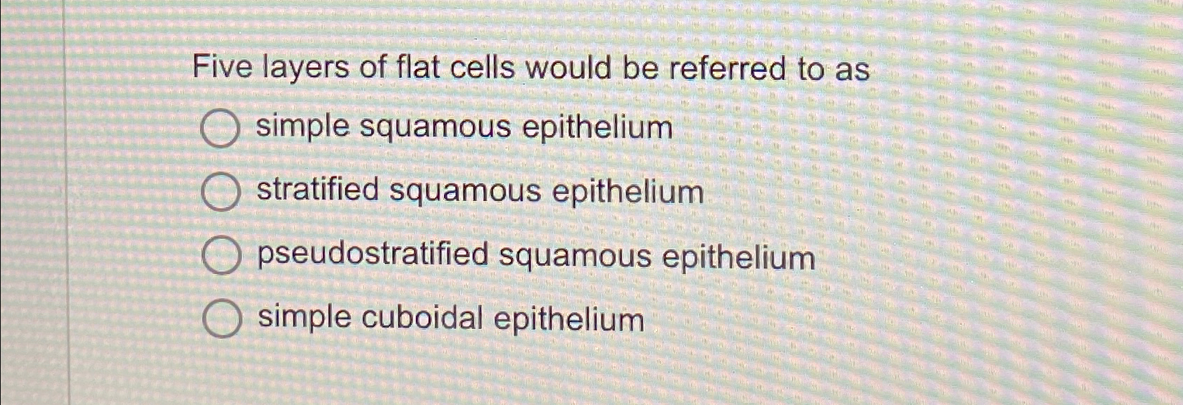 Solved Five layers of flat cells would be referred to | Chegg.com