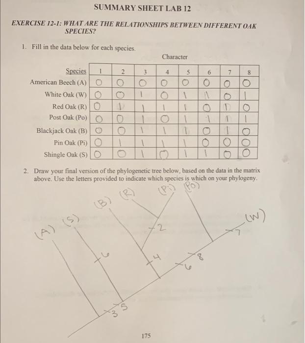 SUMMARY SHEET LAB 12 EXERCISE 12-1: WHAT ARE THE | Chegg.com