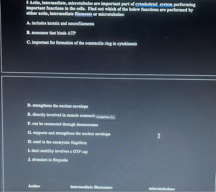 Solved 8 Actin, intermediate, microtubules are important | Chegg.com