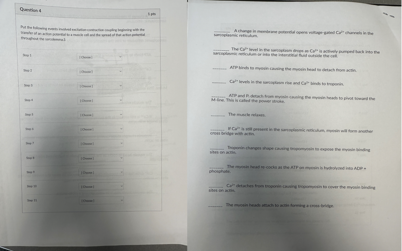 Solved Put the following events involved | Chegg.com