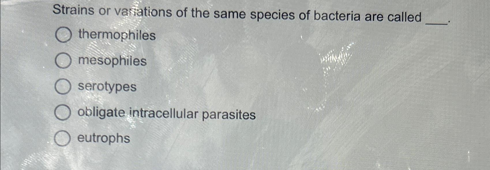 Solved Strains or vasiations of the same species of bacteria | Chegg.com