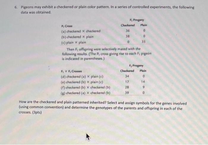 Solved 6. Pigeons may exhibit a checkered or plain color | Chegg.com