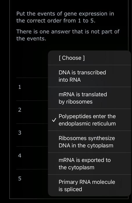 Solved Put the events of gene expression in the correct | Chegg.com Solved Put the events of gene expression in the correct | Chegg.com