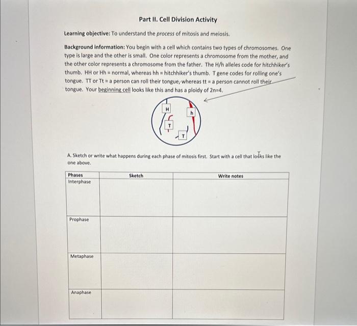 Solved Learning objective: To understand the process of | Chegg.com