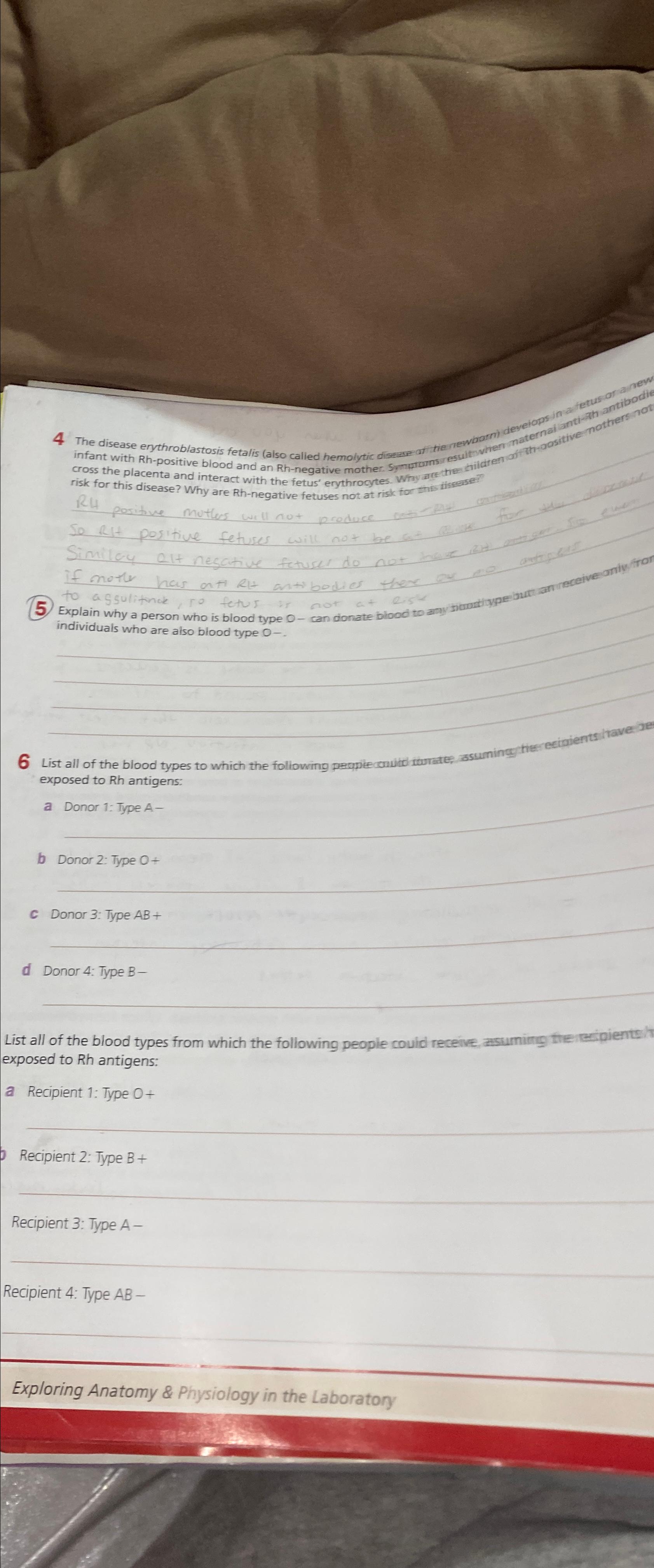Solved 4 ﻿infant with Rh-positive blood and an Rh-negative | Chegg.com