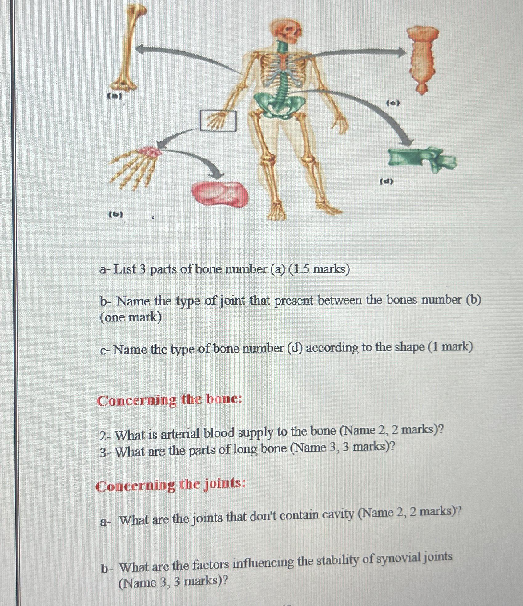 Solved (b)(o)(a)a- ﻿List 3 ﻿parts of bone number (a) (1.5 | Chegg.com