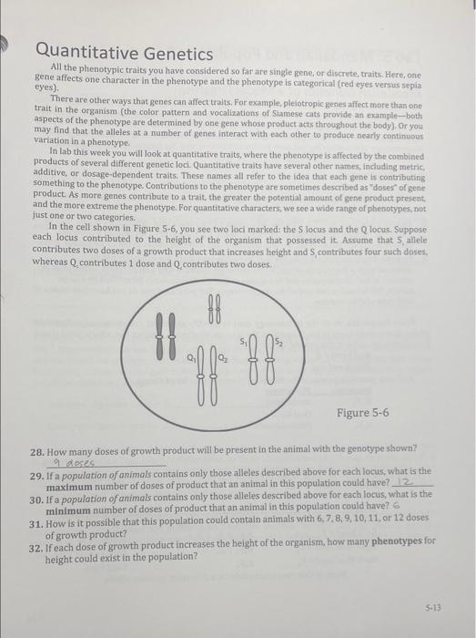 Quantitative Genetics All the phenotypic traits you | Chegg.com