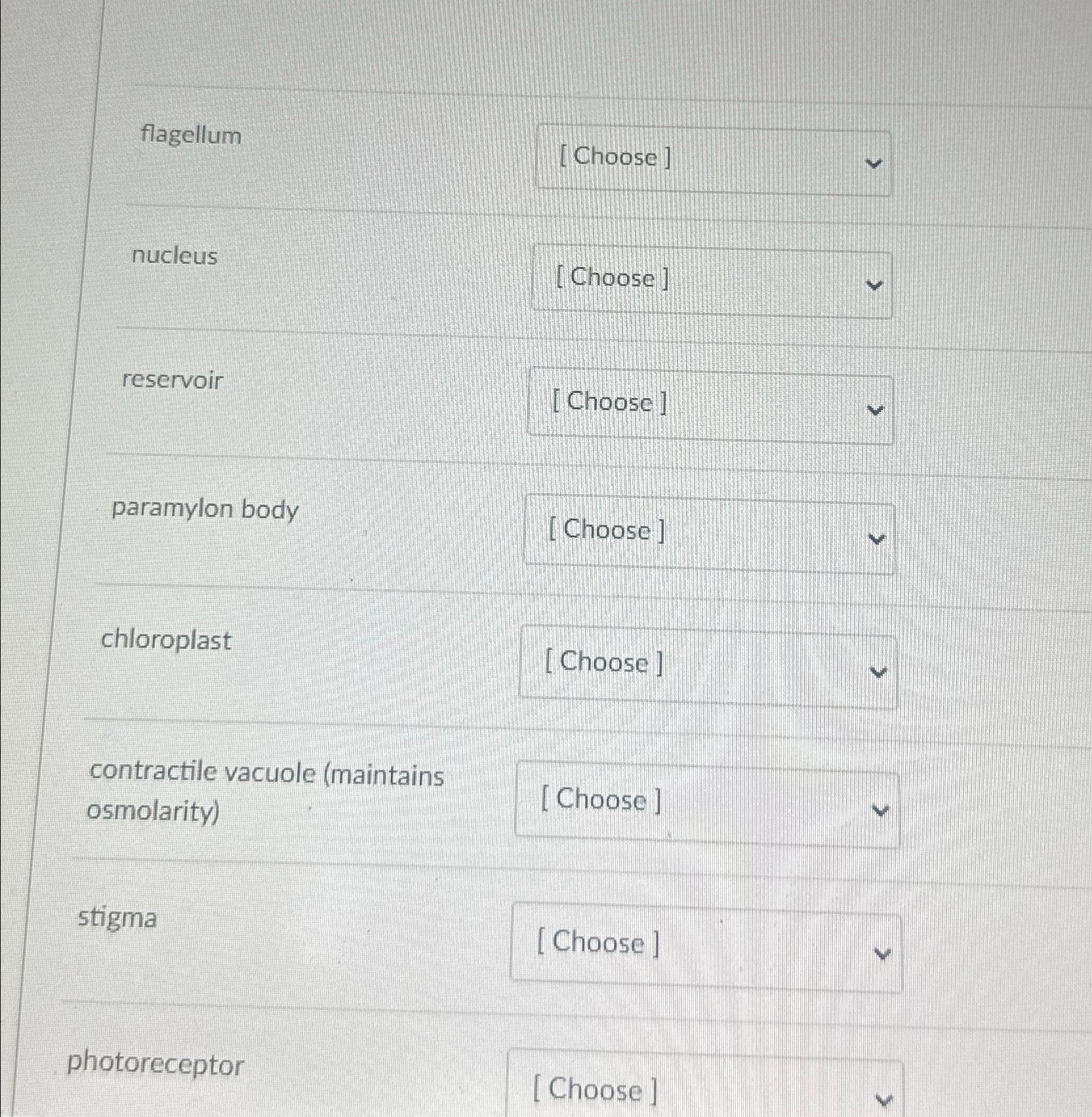 Solved flagellumnucleusreservoirparamylon | Chegg.com