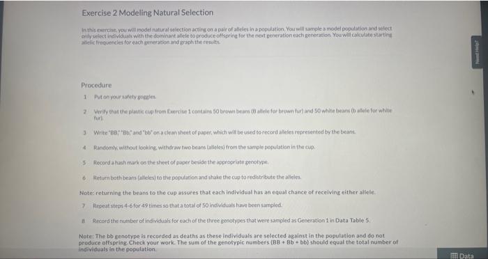 Exercise 2 Modeling Natural Selection only weiert | Chegg.com