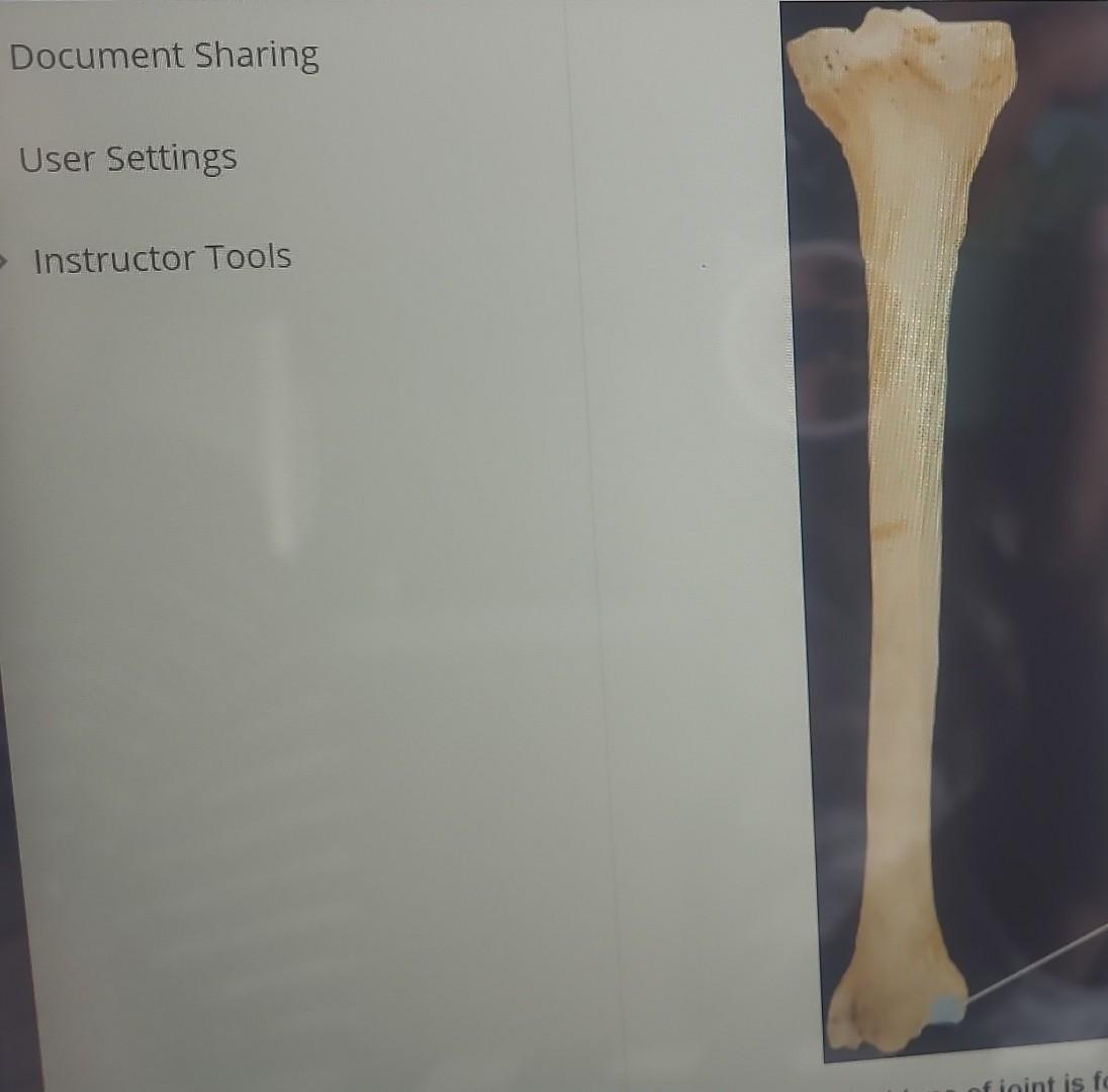 Document Sharing User Settings Instructor Tools | Chegg.com