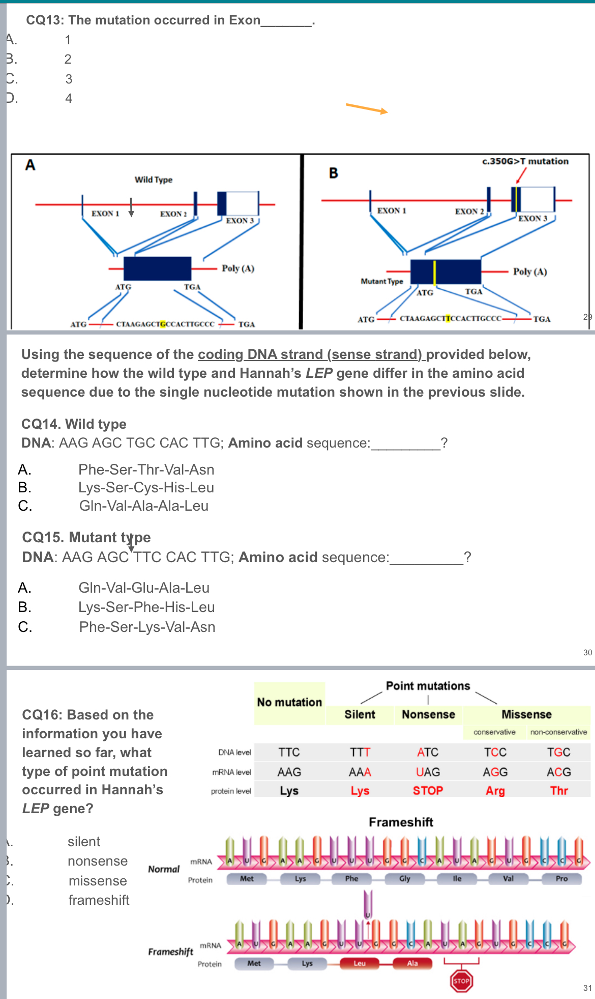 Solved CQ13: The mutation occurred in | Chegg.com