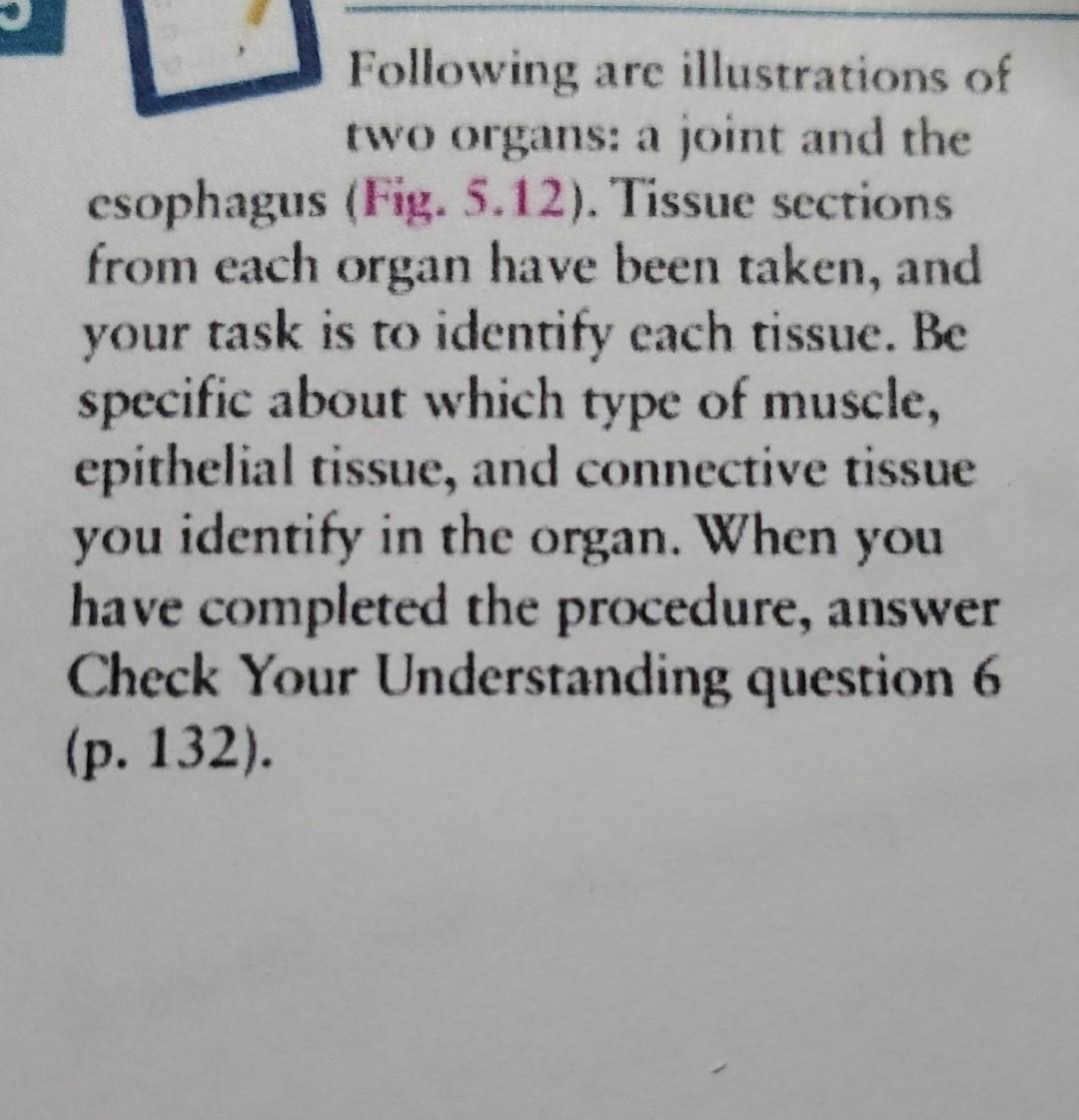 Solved tissue URE 5.12 Tissues making up an pan: (A) a | Chegg.com