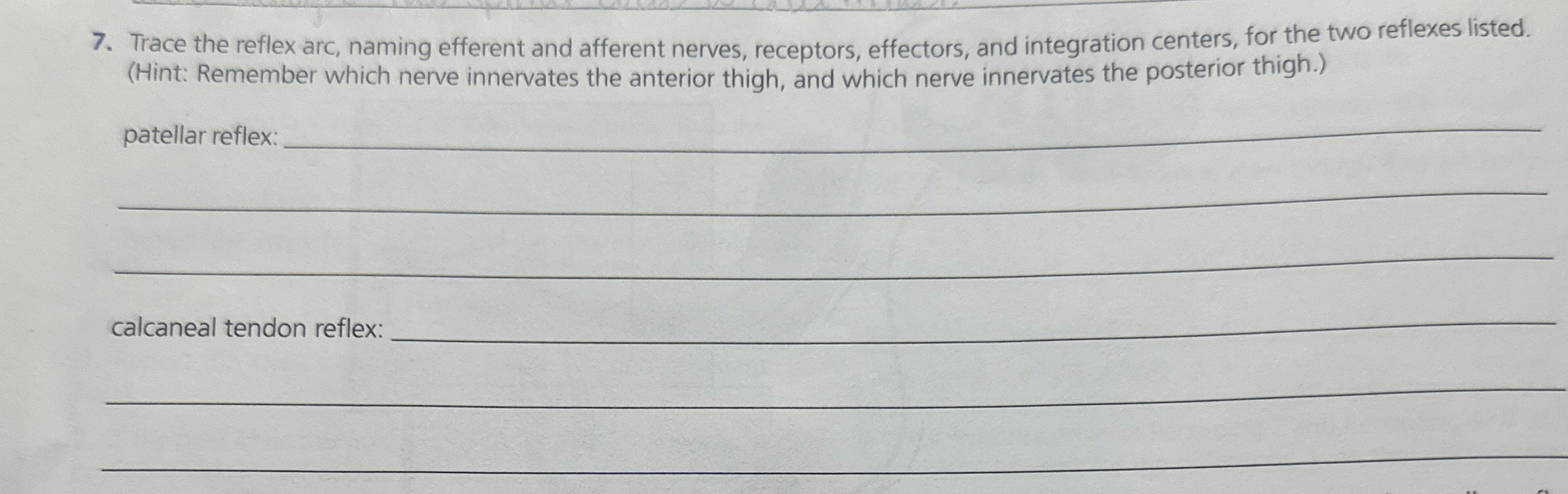 Solved Trace the reflex arc, naming efferent and afferent | Chegg.com