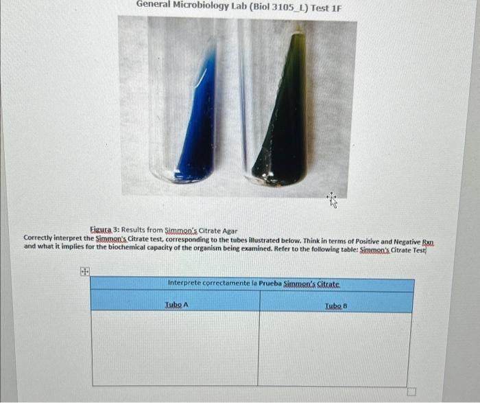 Solved General Microbiology Lab (Biol 3105 L) Test 1F Eigura | Chegg.com