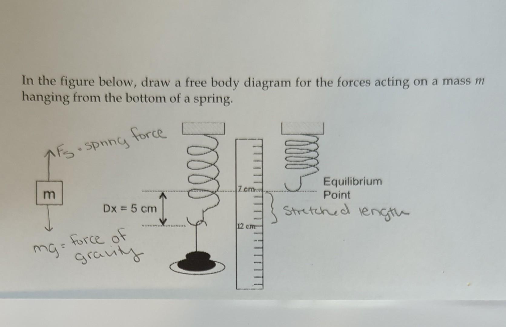 Solved In the figure below, draw a free body diagram for the | Chegg.com
