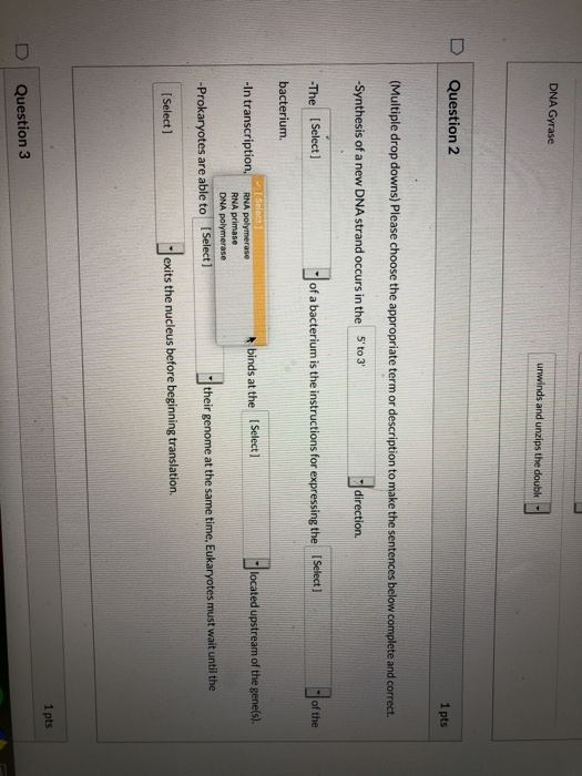 Solved Question 2 1 pts (Multiple drop downs) Please choose | Chegg.com