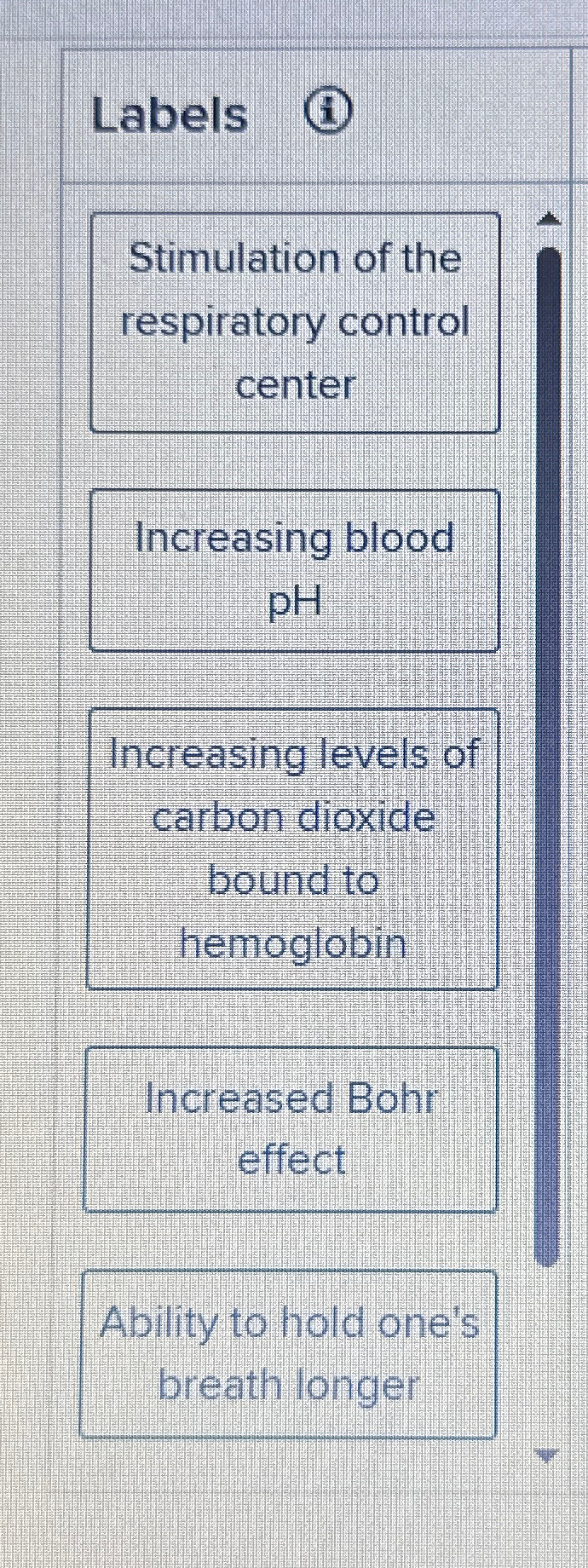 Solved Labels(1)Stimulation of the respiratory control | Chegg.com