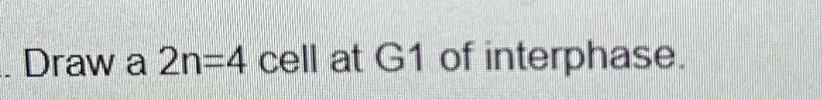 Solved Draw a 2n=4 ﻿cell at G1 ﻿of interphase. | Chegg.com