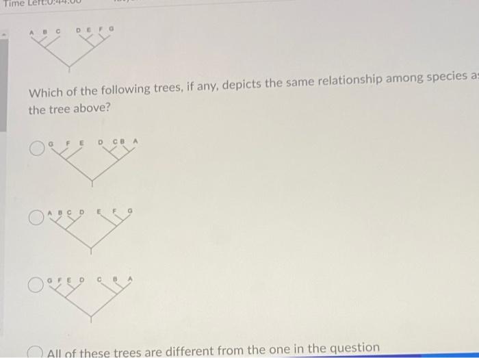 [solved] Which Of The Following Trees If Any Depicts The