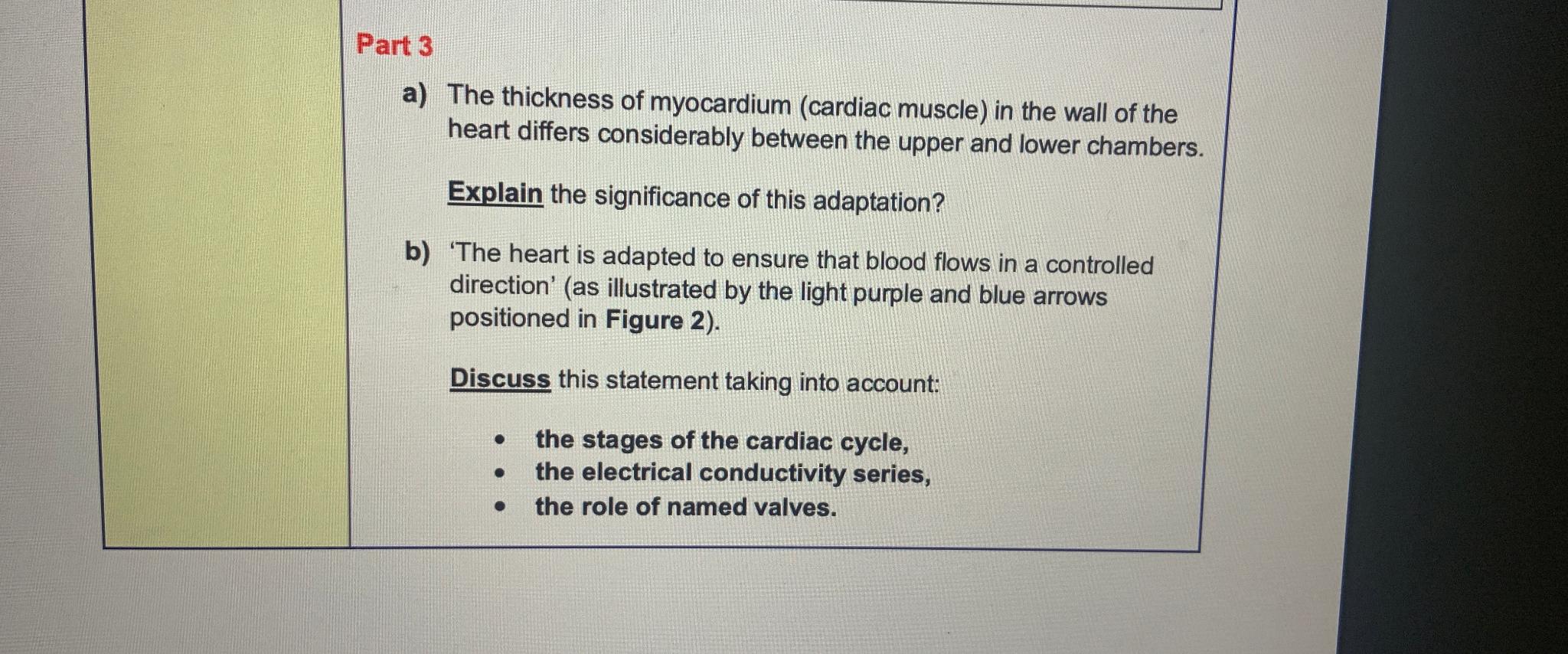 Solved Part 3a) ﻿The thickness of myocardium (cardiac | Chegg.com