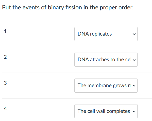 Solved Put the events of binary fission in the proper | Chegg.com