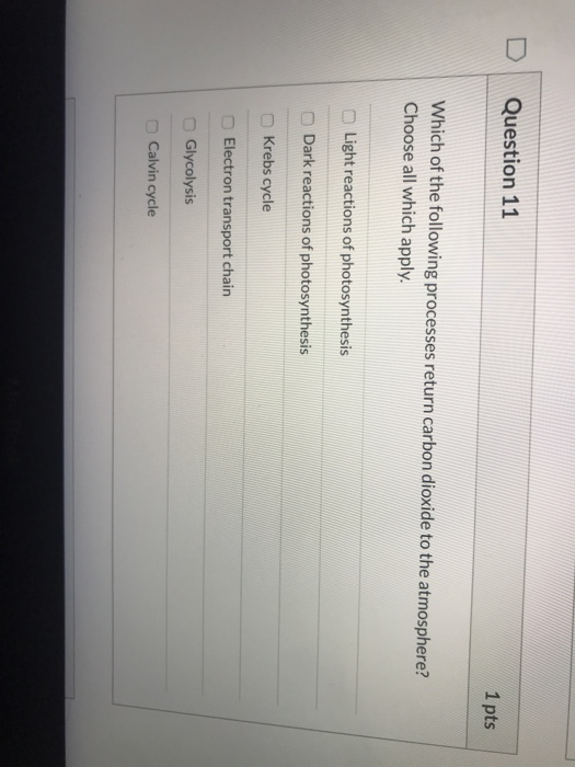 Solved Question 2 1 pts Drganisms that consume only plants | Chegg.com