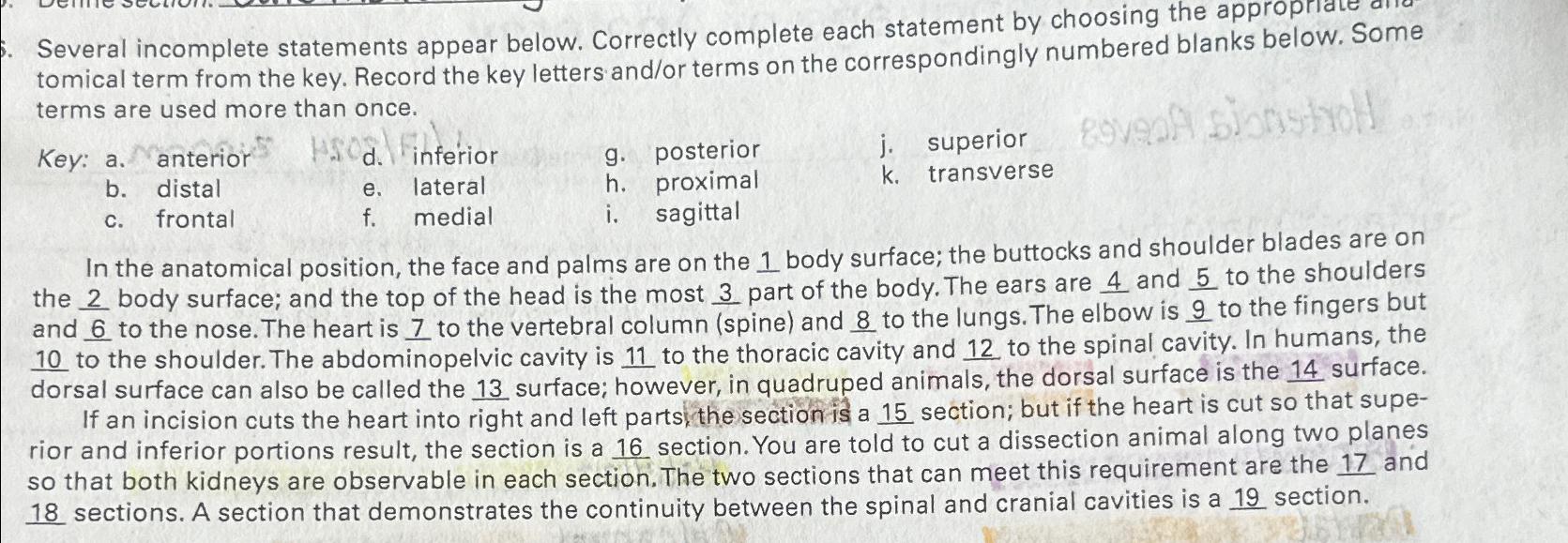 Solved Several incomplete statements appear below. Correctly | Chegg.com