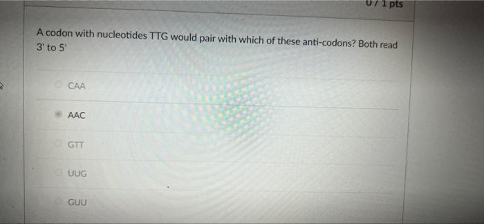Solved 1 pts A codon with nucleotides TTG would pair with | Chegg.com