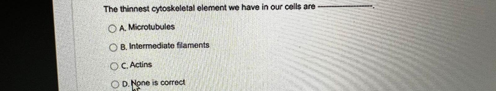 Solved The thinnest cytoskeletal element we have in our | Chegg.com