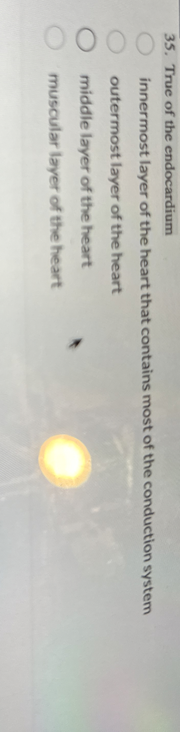 Solved True of the endocardiuminnermost layer of the heart | Chegg.com