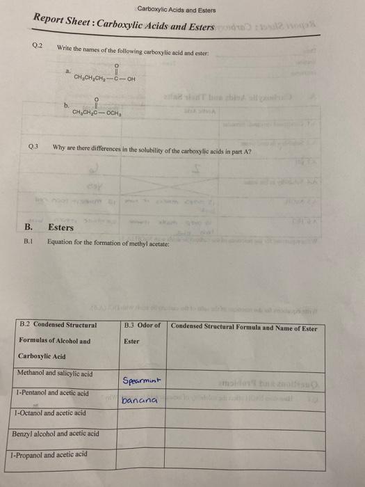 Solved Report Sheet : Carboxylic Acids and Esters Date Name | Chegg.com
