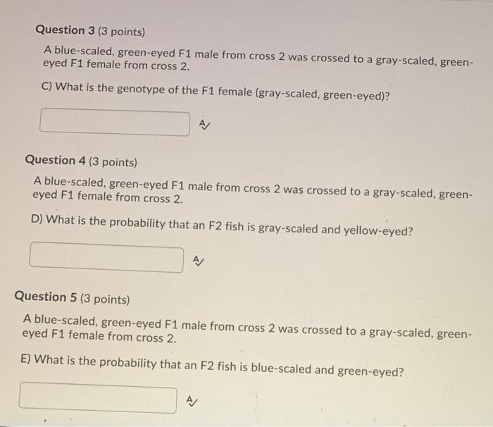 Solved Question 1 (3 points) In blue dogfish, iridescent | Chegg.com