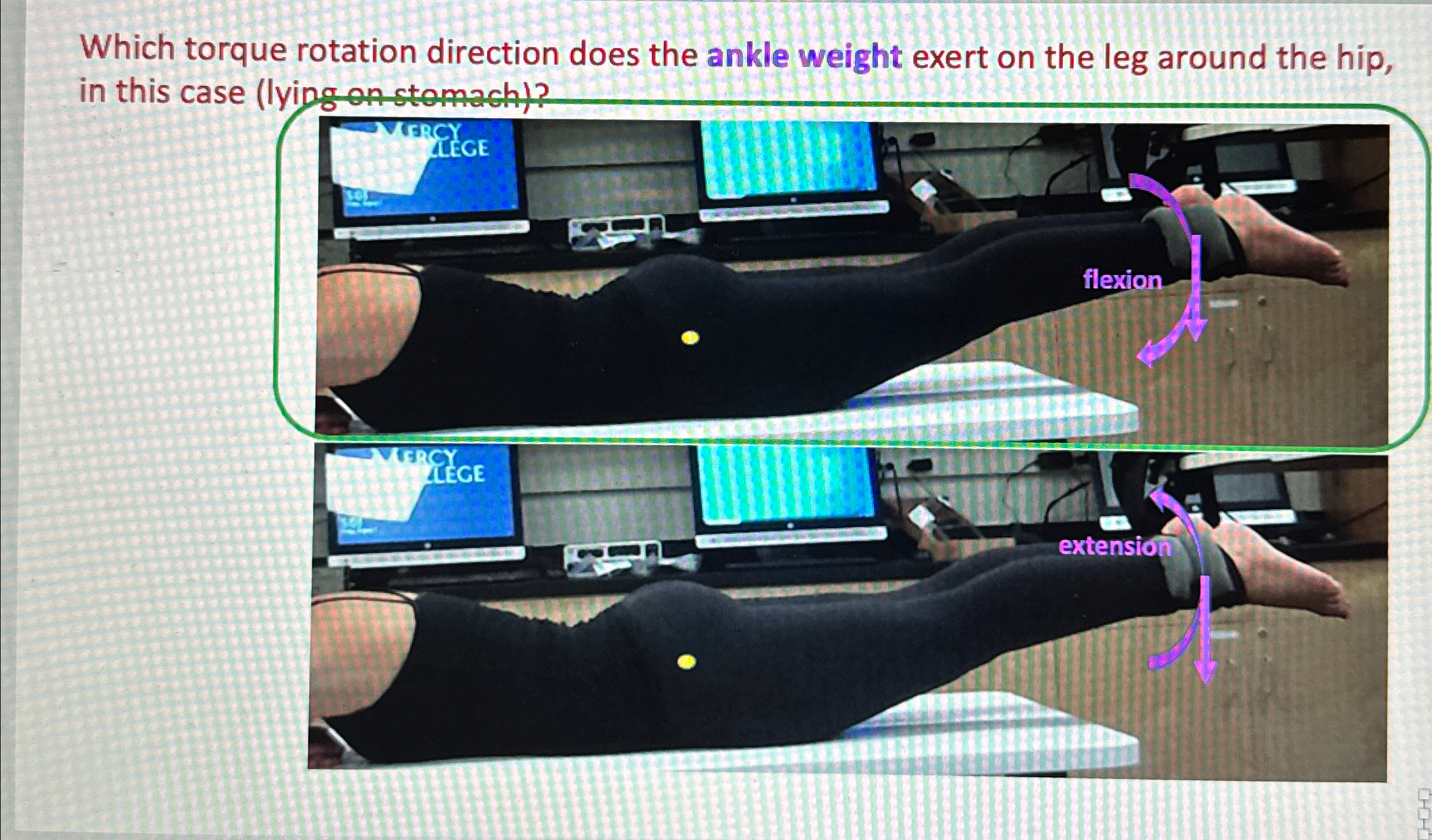 Solved Which torque rotation direction does the ankle weight | Chegg.com