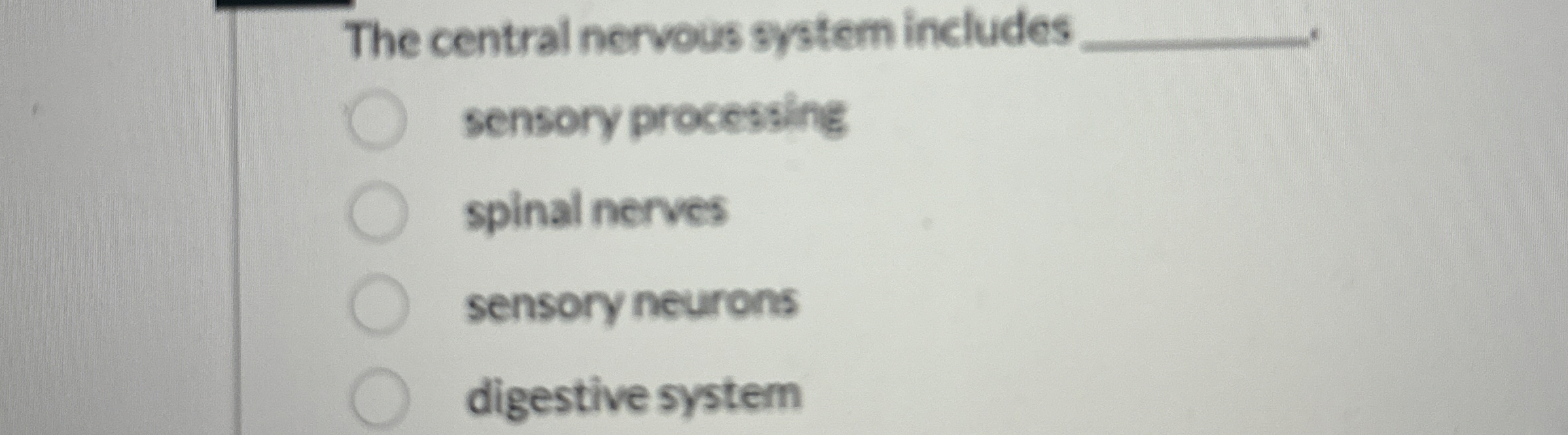 Solved The central nervous system includessensory | Chegg.com