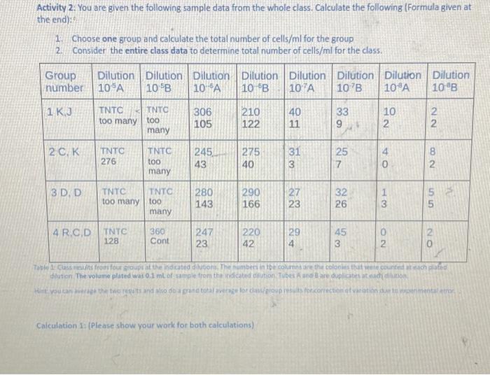 Solved Protocol: Day 2 Calculate the number of bacteria per | Chegg.com