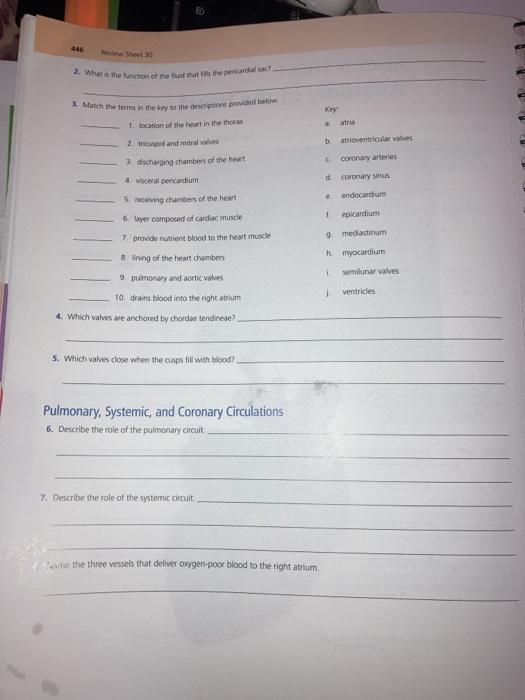 Solved EXERCISE ACS Anatomy of the Heart Name Lab Time/Date | Chegg.com