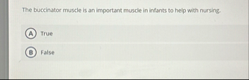 Solved The buccinator muscle is an important muscle in | Chegg.com