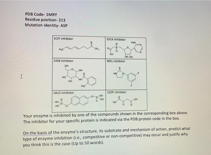 Solved PDB Code-1MRY Residue position- 213 Mutation | Chegg.com