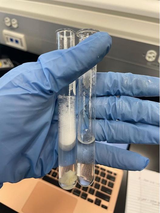 Preparation for Soap Lab A. Emulsifying Properties | Chegg.com