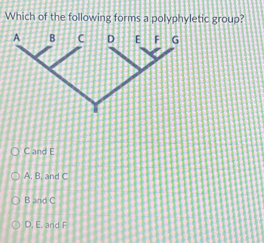 Solved Which of the following forms a polyphyletic group?C | Chegg.com