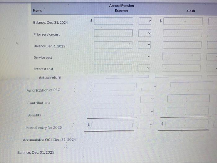Solved Projected benefit obligation, 1/1/25 (before | Chegg.com