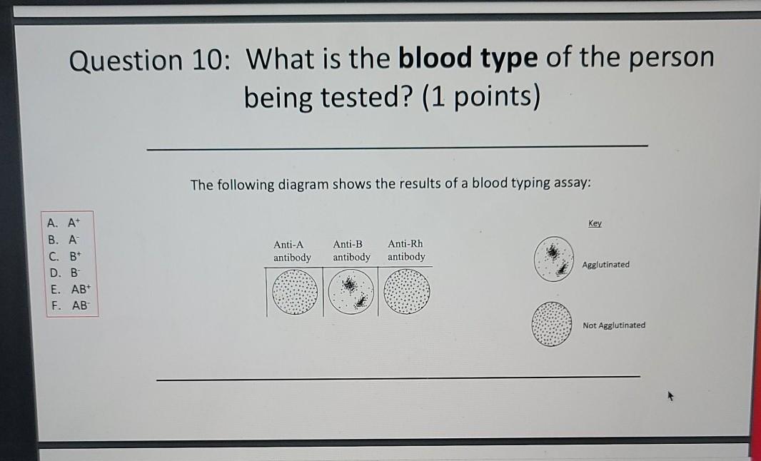 Solved Question 10: What is the blood type of the person | Chegg.com