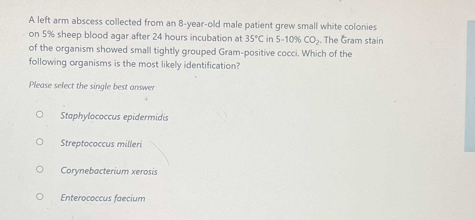 Solved A left arm abscess collected from an 8-year-old male | Chegg.com
