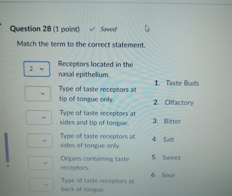 Solved Question 28 (1 ﻿point) ﻿SavedMatch the term to the | Chegg.com